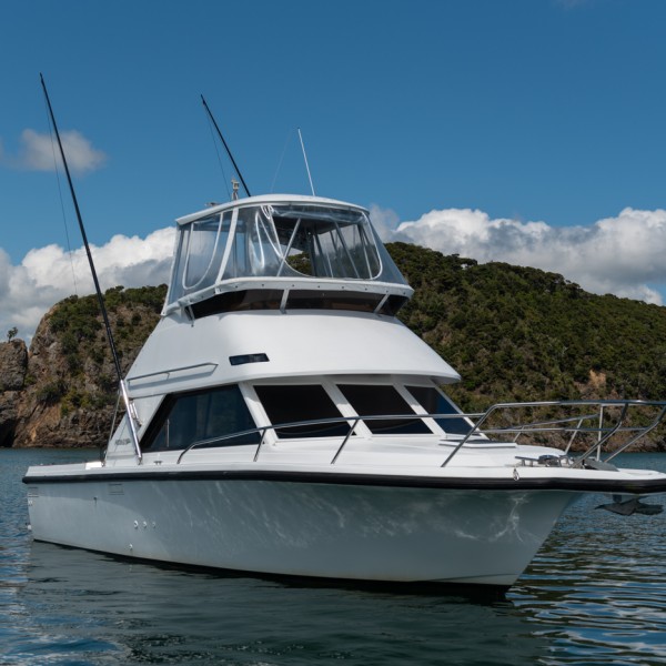 Phoenix SFX 29 - SOLD by 36° Brokers » 36 Degrees Brokerage